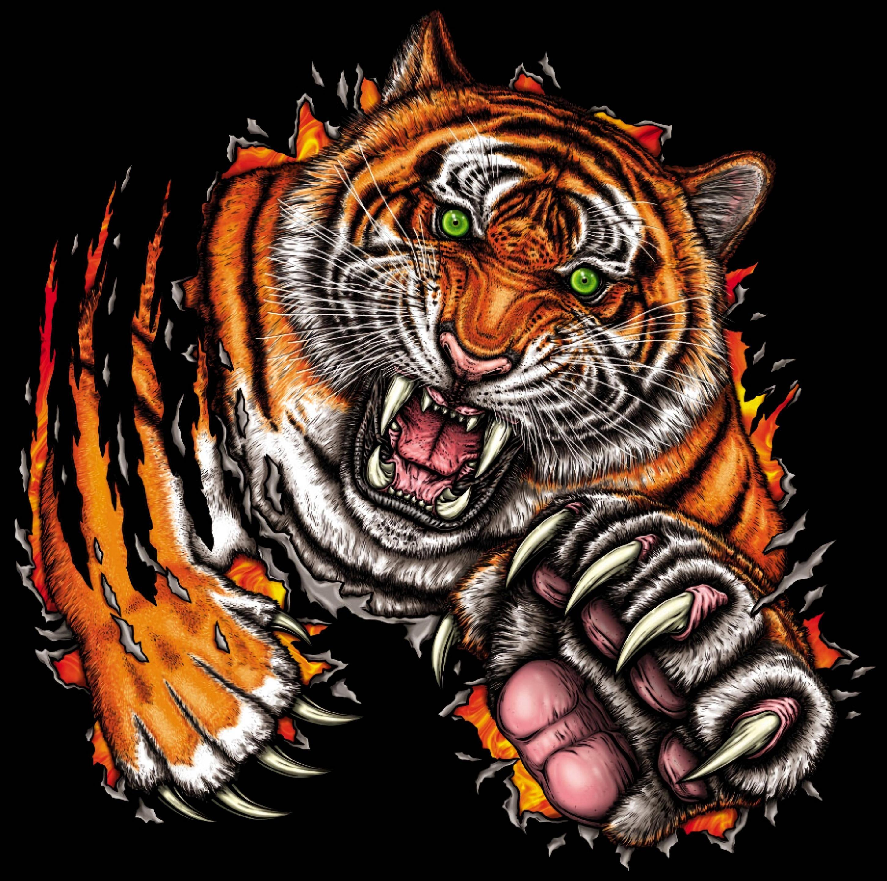 Tiger Man Wallpapers - Top Free Tiger Man Backgrounds - WallpaperAccess
