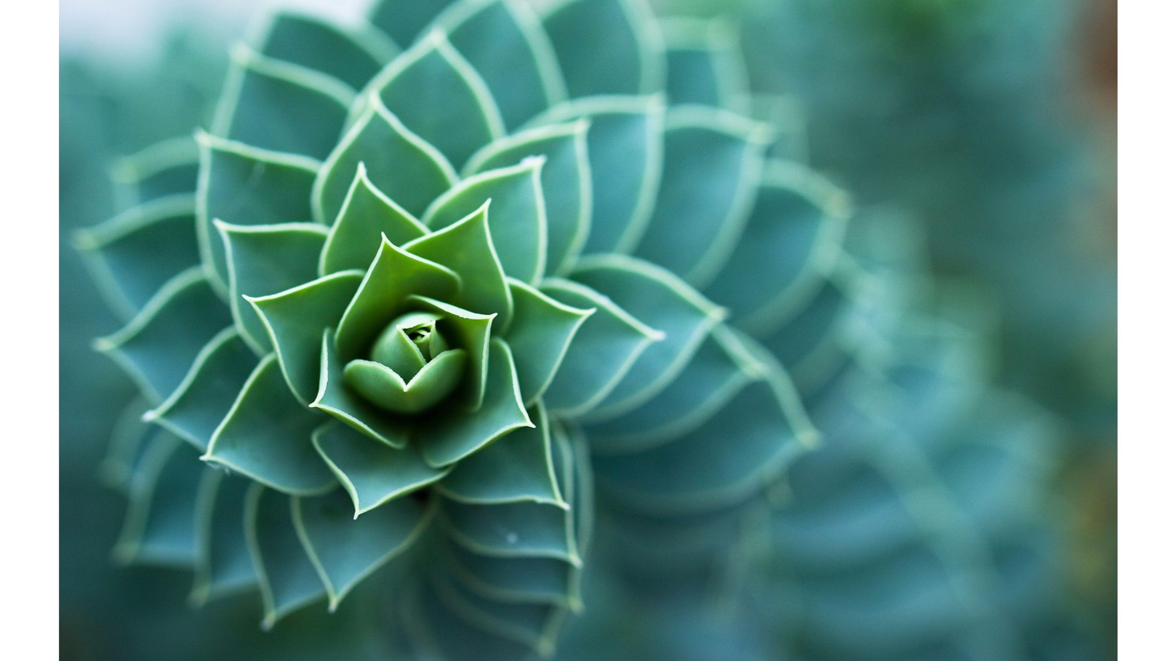 Perspective 4K Wallpapers - Top Free Perspective 4K Backgrounds ...