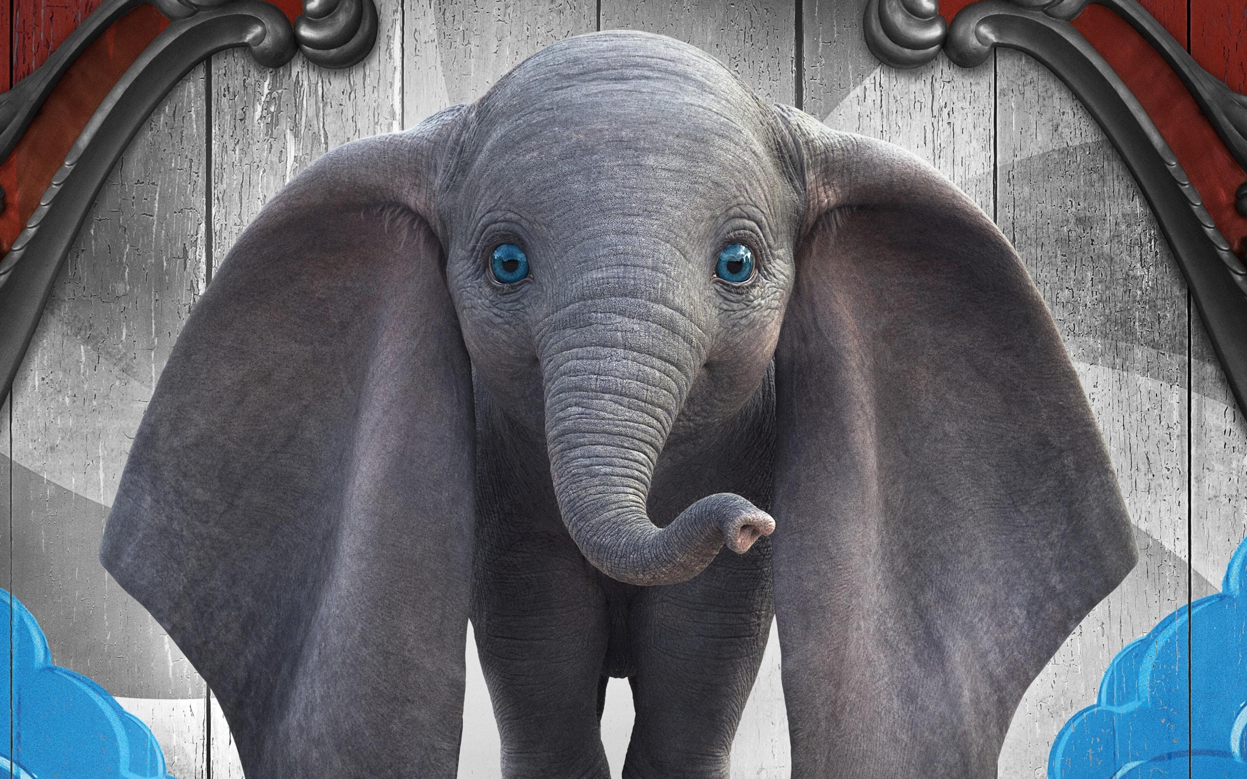 Dumbo HD Wallpapers - Top Free Dumbo HD Backgrounds - WallpaperAccess