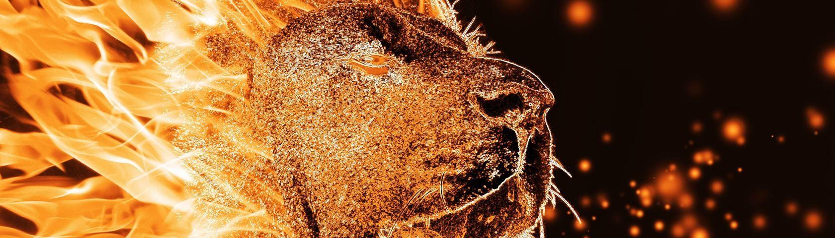 Fire Lion Wallpapers - Top Free Fire Lion Backgrounds - WallpaperAccess