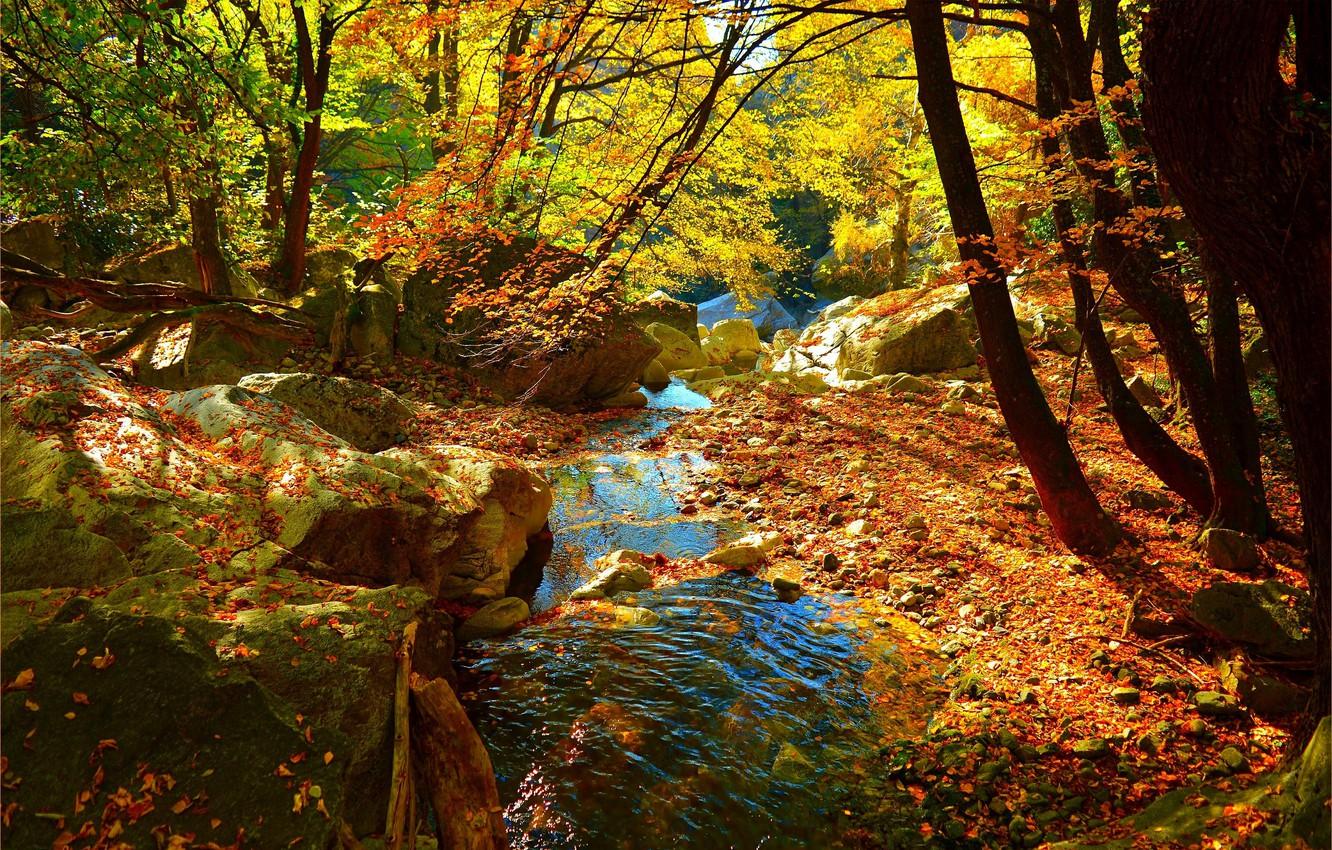 Autumn Stream Wallpapers - Top Free Autumn Stream Backgrounds ...