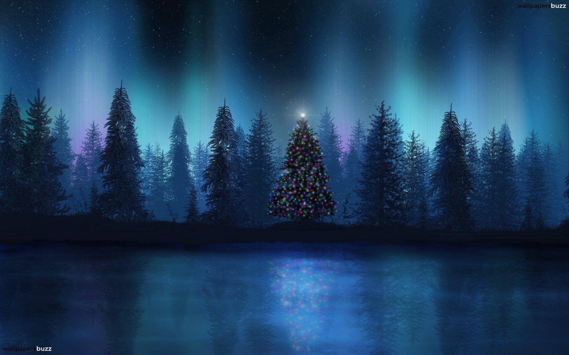 Christmas Forest Wallpapers - Top Free Christmas Forest Backgrounds ...
