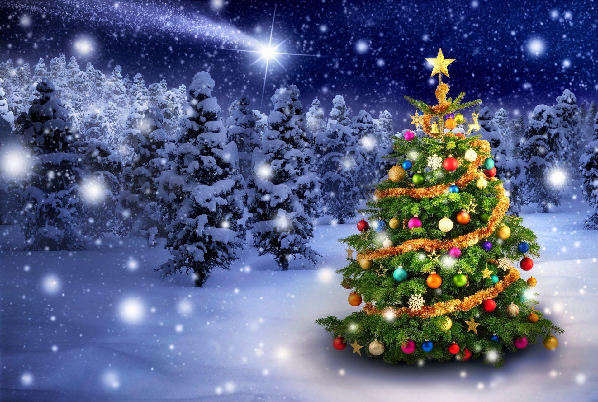 Christmas Forest Wallpapers - Top Free Christmas Forest Backgrounds ...