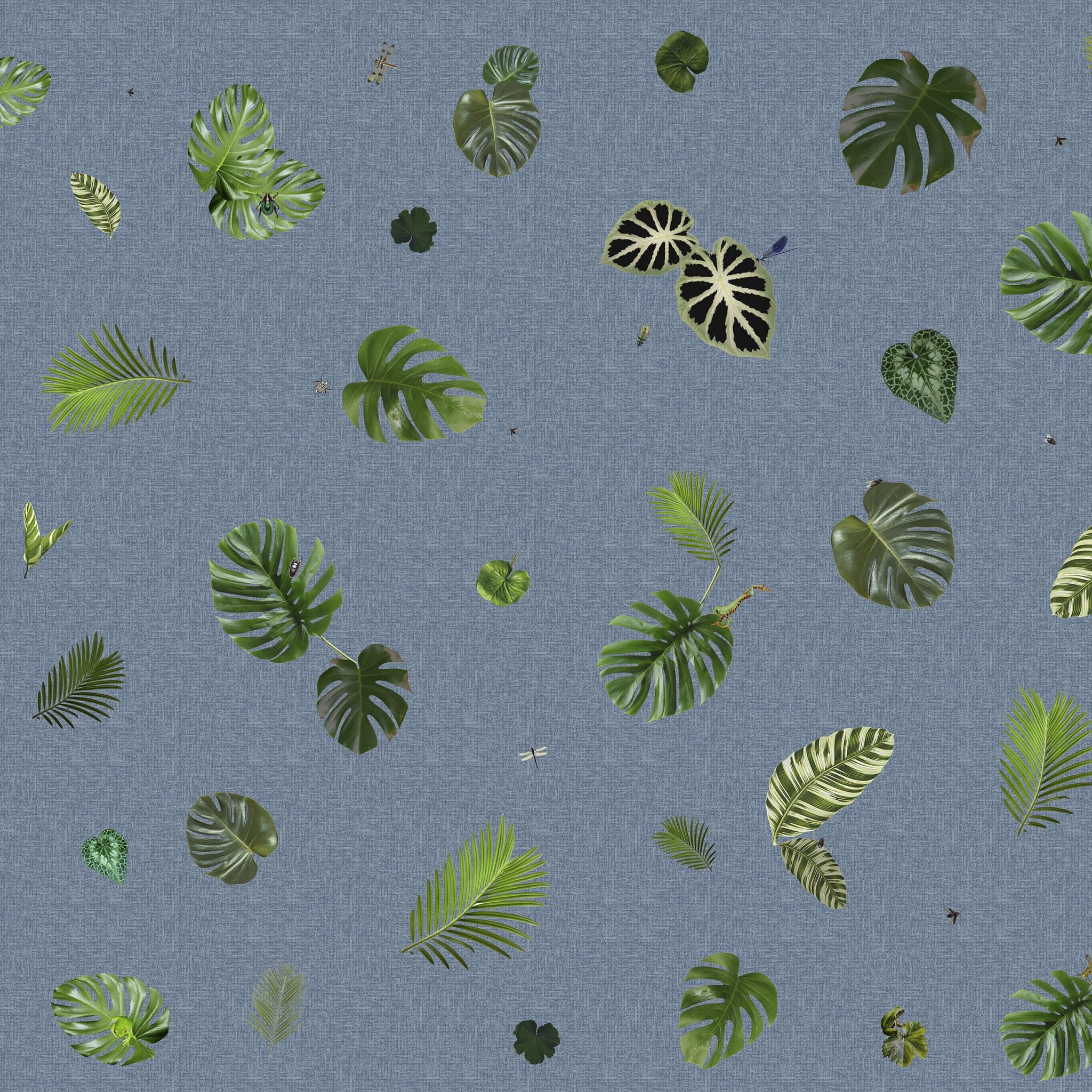 Vans Tropical Wallpapers - Top Free Vans Tropical Backgrounds ...