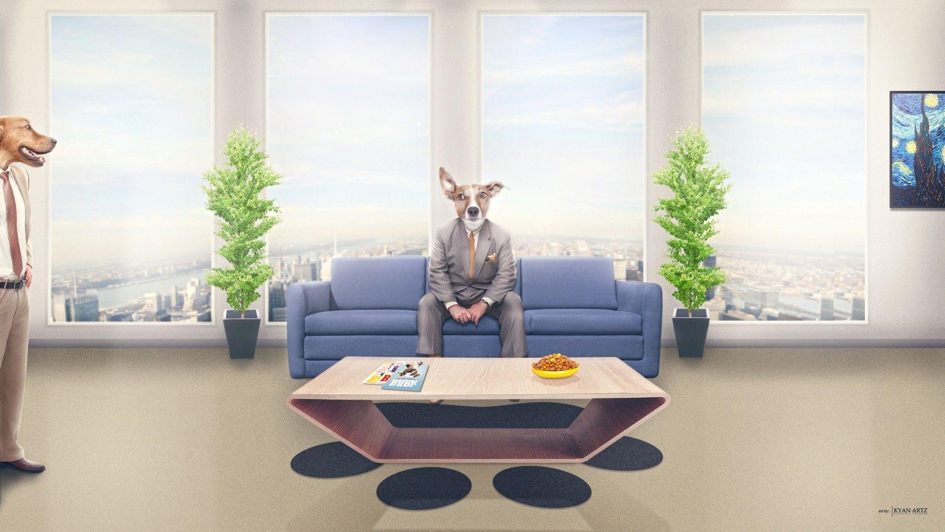 Job Interview Wallpapers Top Free Job Interview Backgrounds 