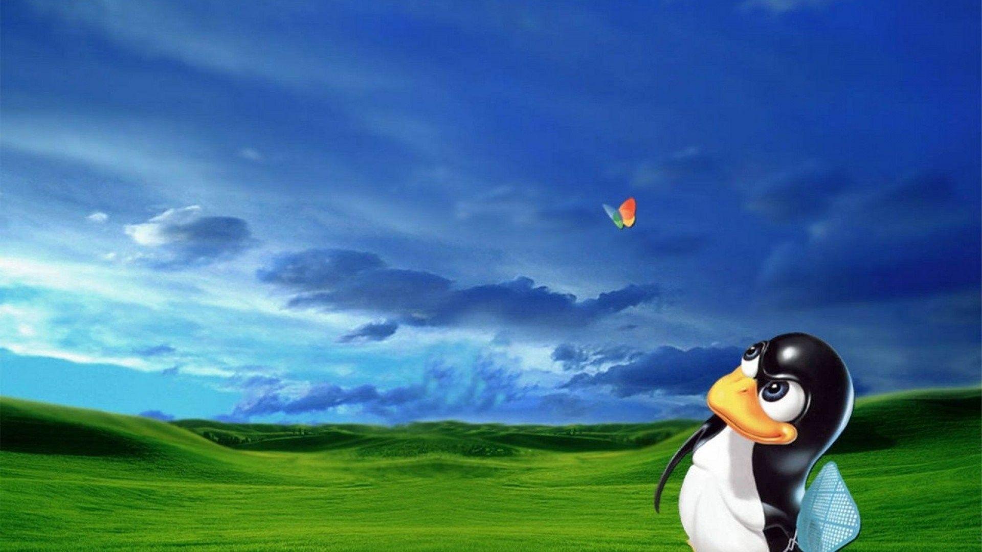 Active Computer Wallpapers - Top Free Active Computer Backgrounds ...