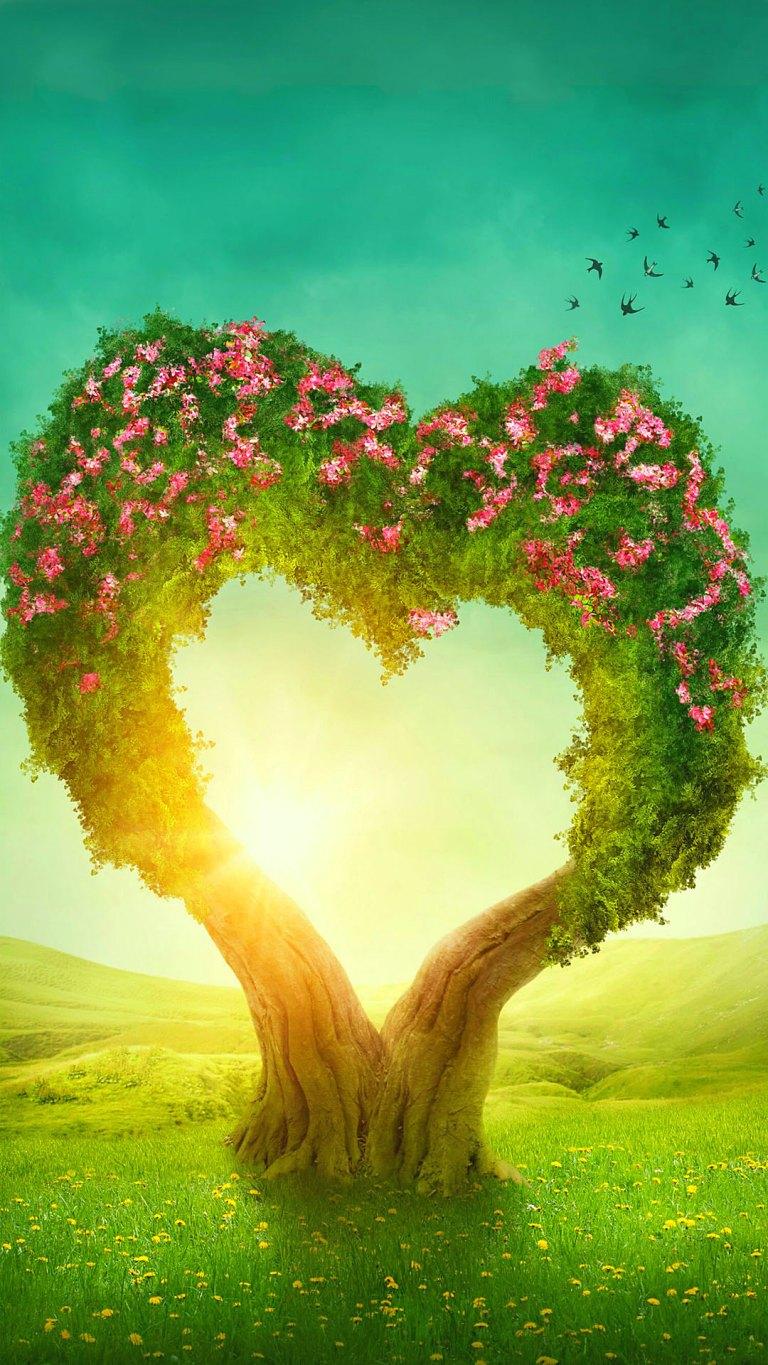 Heart Nature Wallpapers - Top Free Heart Nature Backgrounds ...