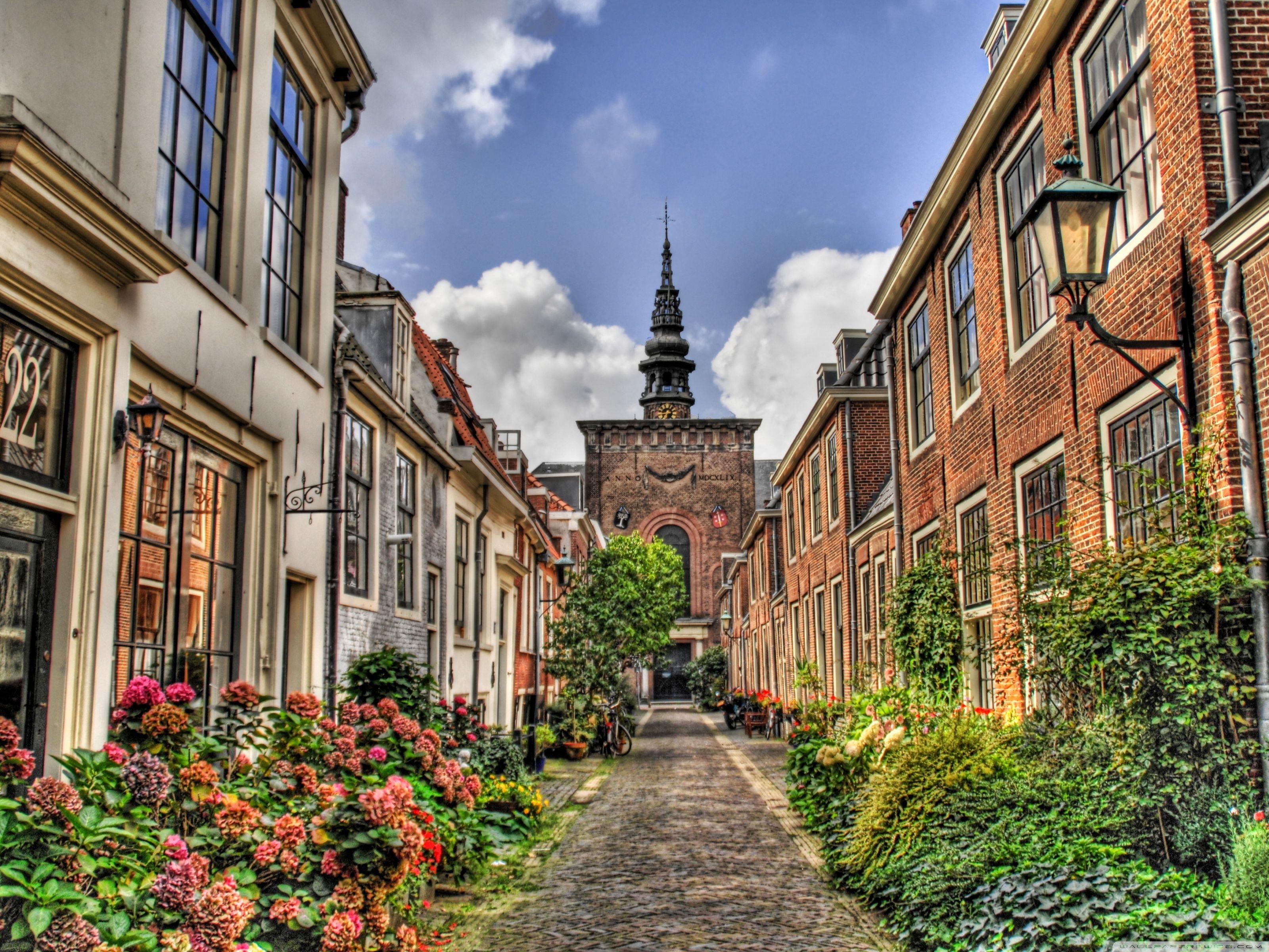 Netherlands Nature Wallpapers - Top Free Netherlands Nature Backgrounds ...