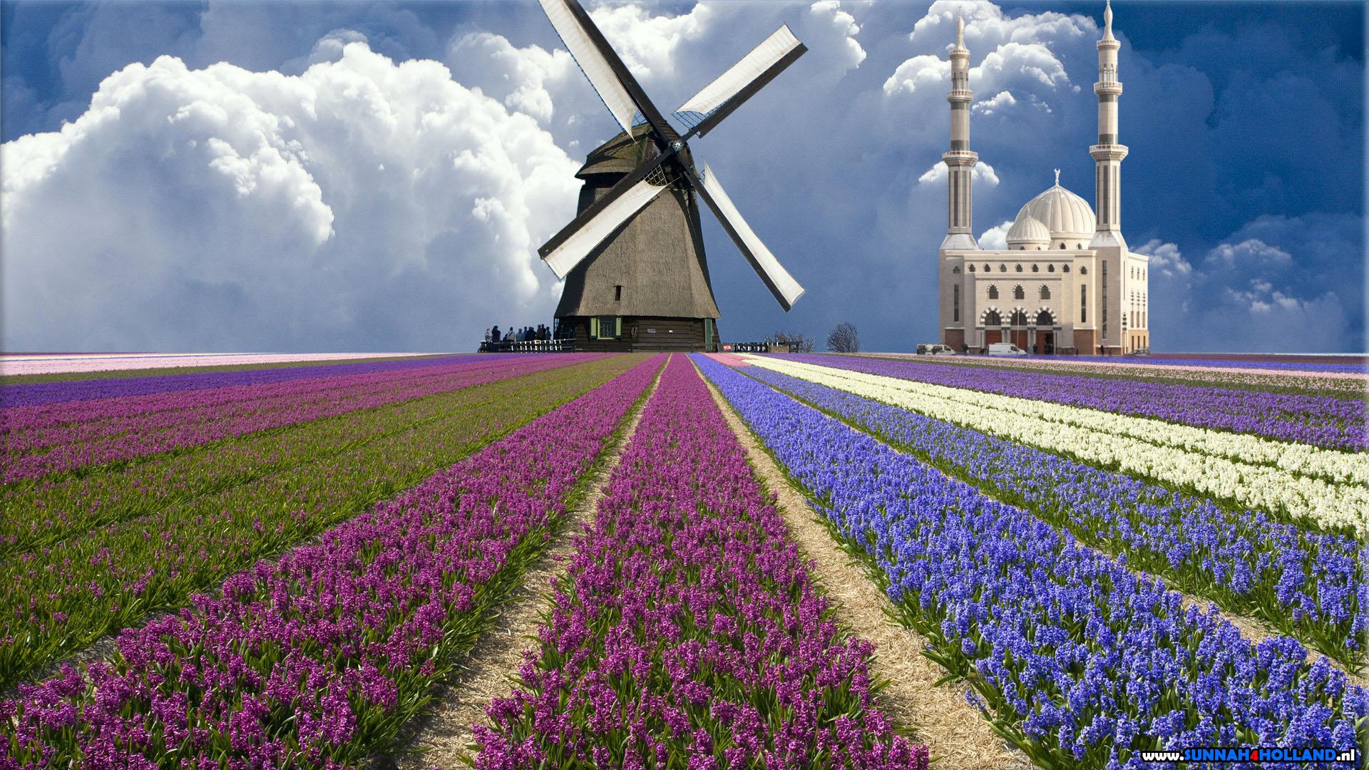 Netherlands Nature Wallpapers - Top Free Netherlands Nature Backgrounds ...