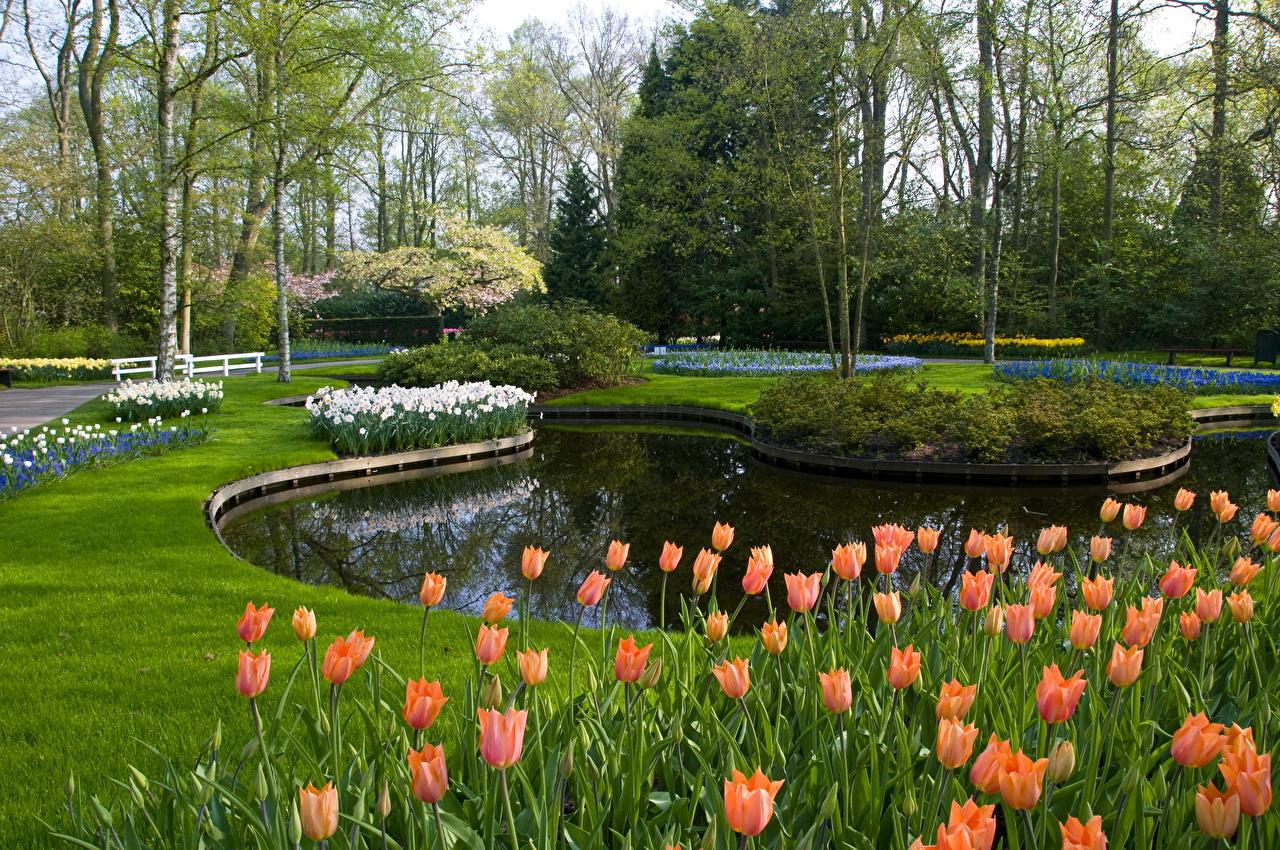 Netherlands Nature Wallpapers - Top Free Netherlands Nature Backgrounds ...