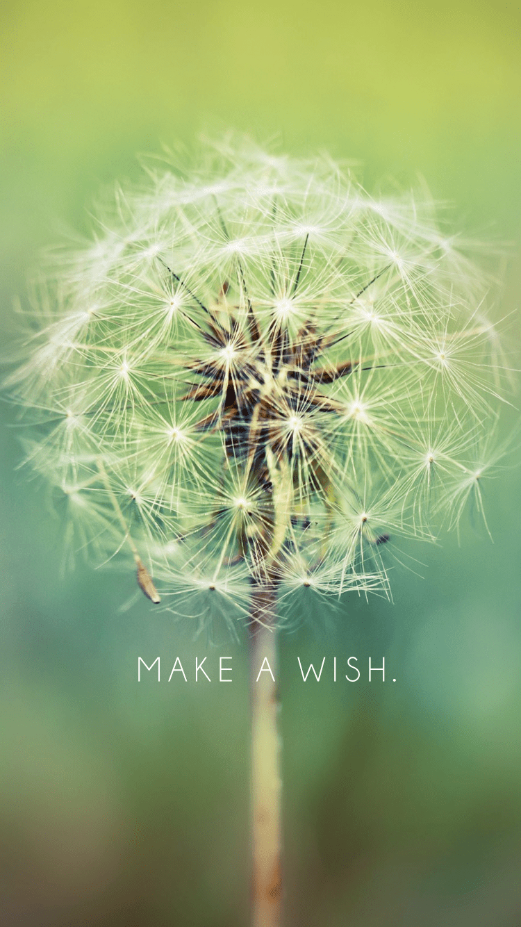 Make A Wish Wallpapers - Top Free Make A Wish Backgrounds - WallpaperAccess
