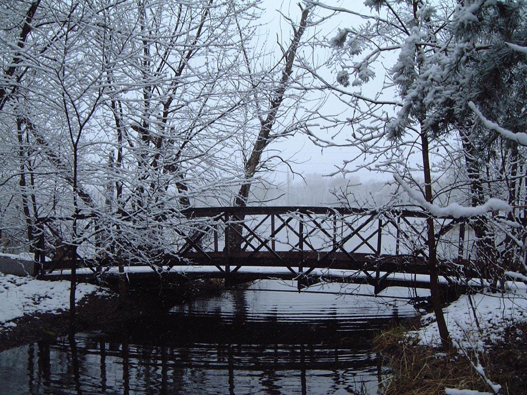 Gothic Winter Wallpapers - Top Free Gothic Winter Backgrounds ...