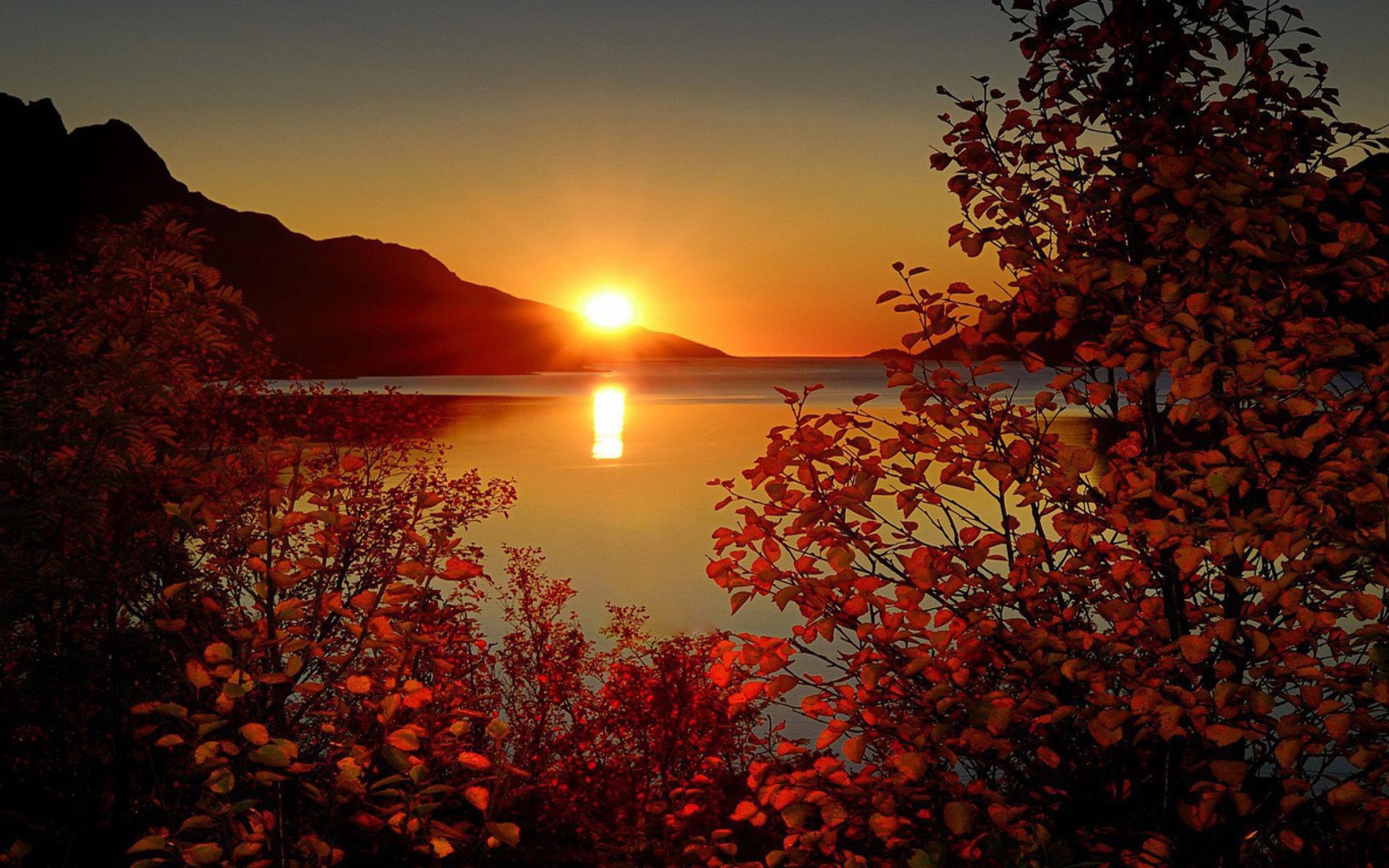 Autumn Sunset HD Wallpapers - Top Free Autumn Sunset HD Backgrounds ...