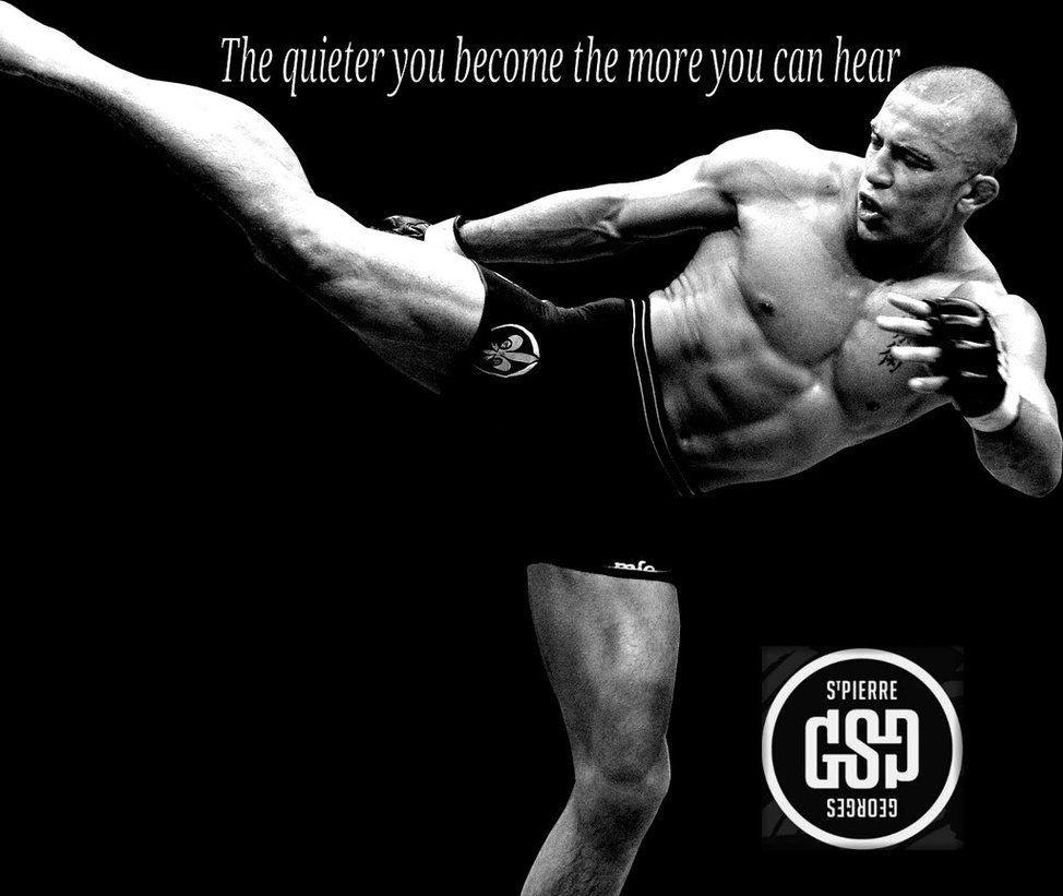 George Saint Pierre Wallpapers - Top Free George Saint Pierre ...