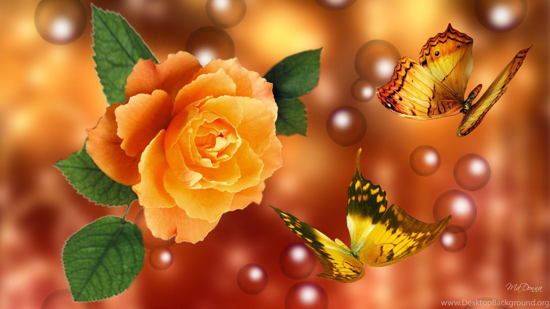Roses and Butterflies Wallpapers - Top Free Roses and Butterflies ...