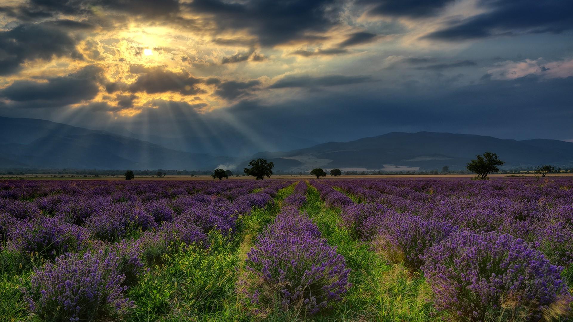 Bulgaria Nature Wallpapers - Top Free Bulgaria Nature Backgrounds ...