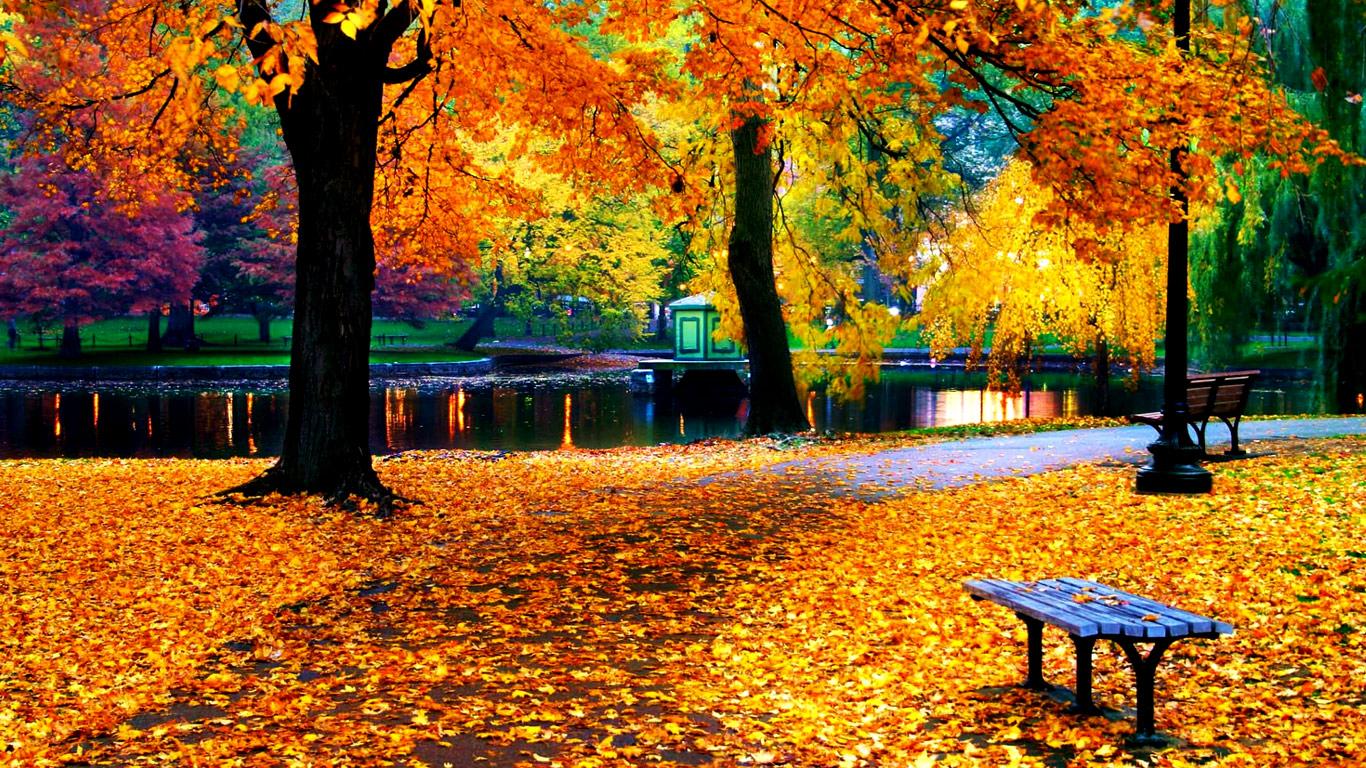 Boston Autumn 4K Wallpapers - Top Free Boston Autumn 4K Backgrounds ...