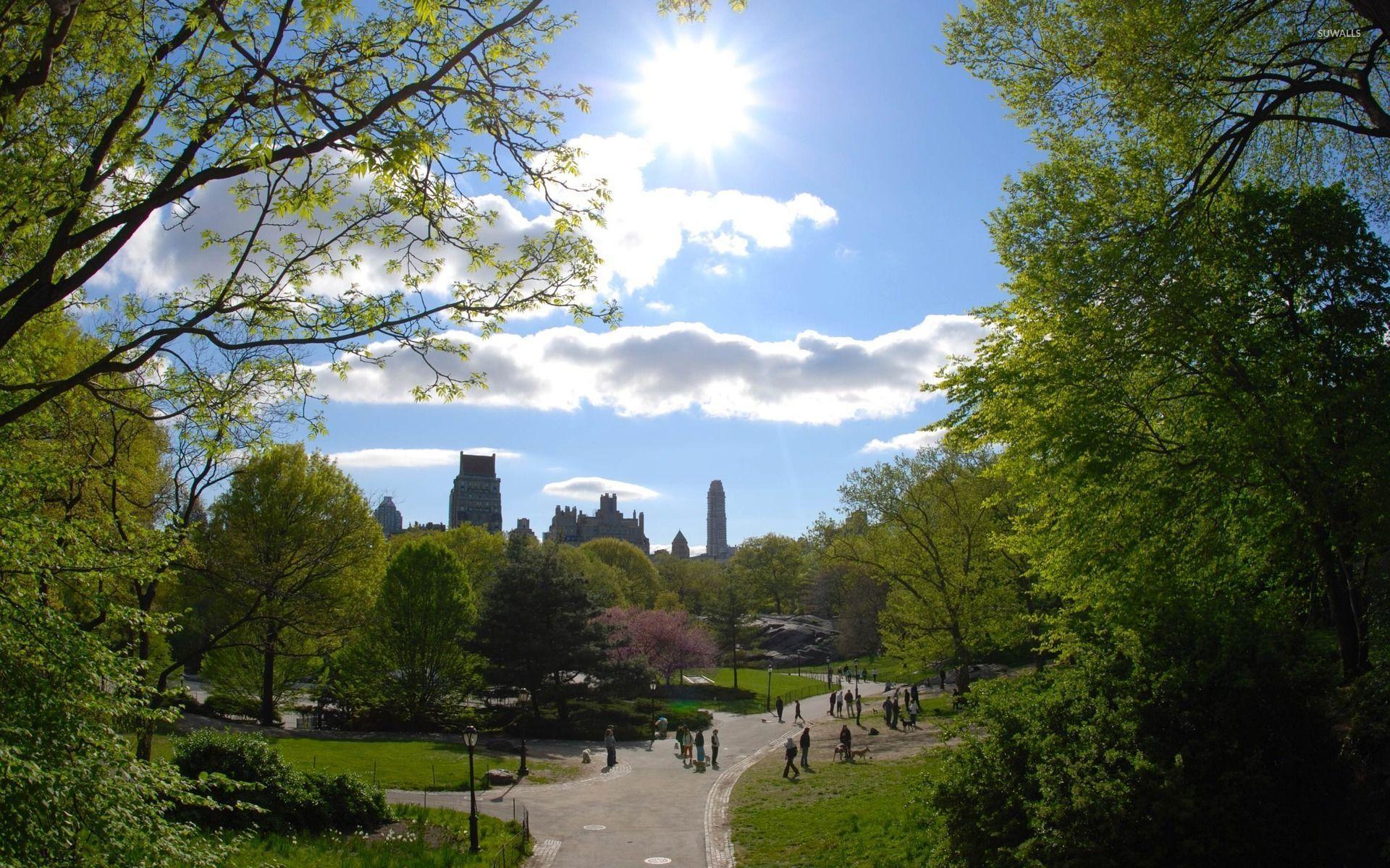 Manhattan TV Show Wallpapers - Top Free Manhattan TV Show Backgrounds ...