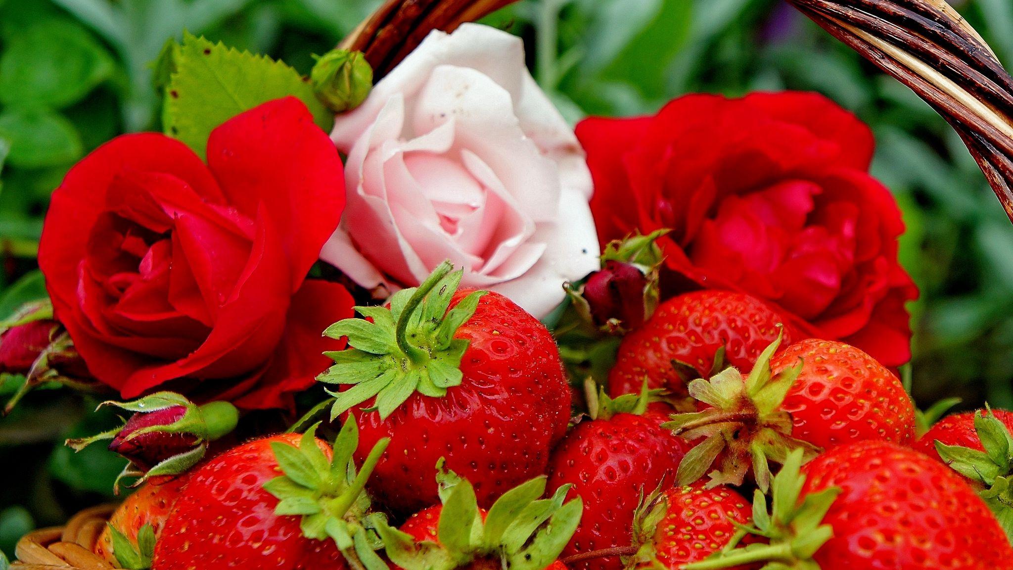 Strawberries and Flowers Wallpapers - Top Free Strawberries and Flowers ...
