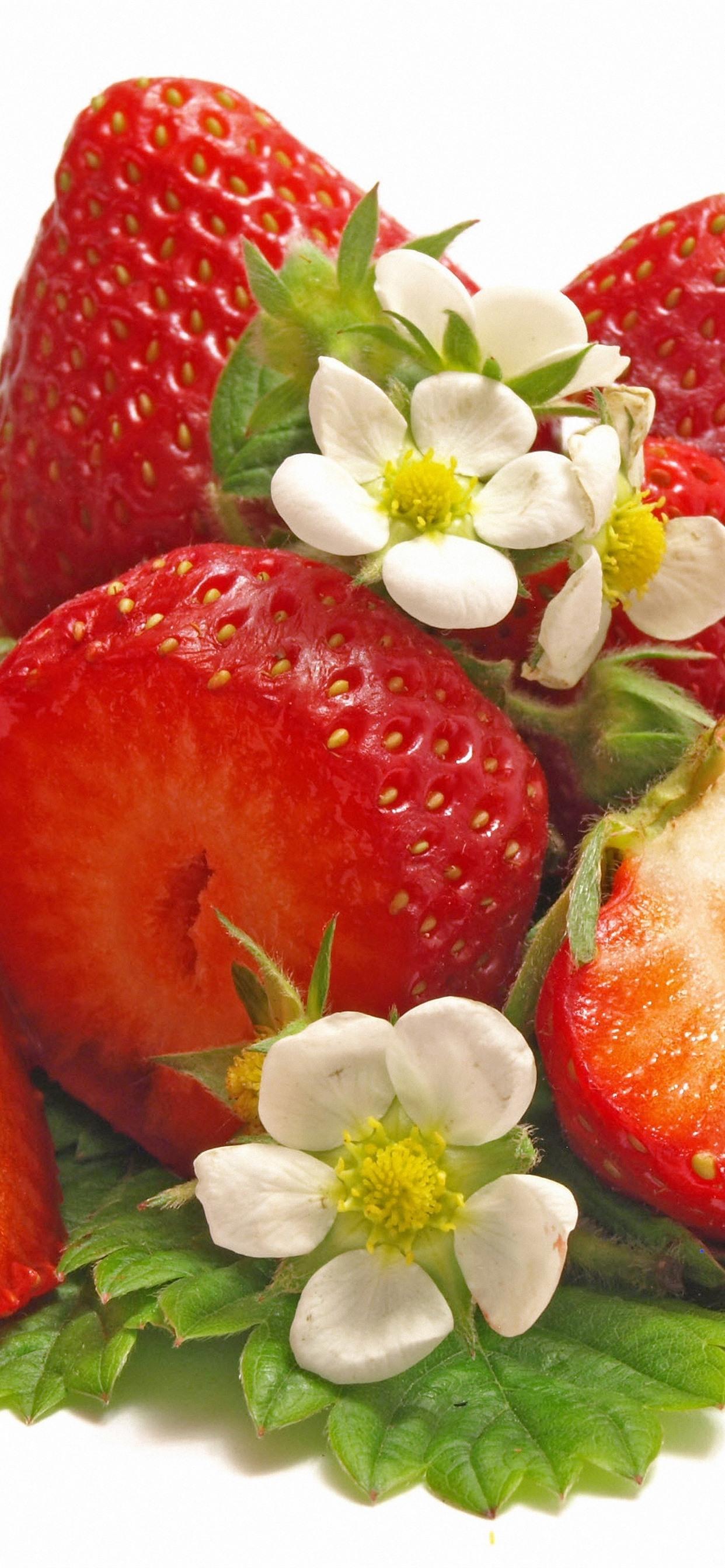 Strawberries and Flowers Wallpapers - Top Free Strawberries and Flowers ...