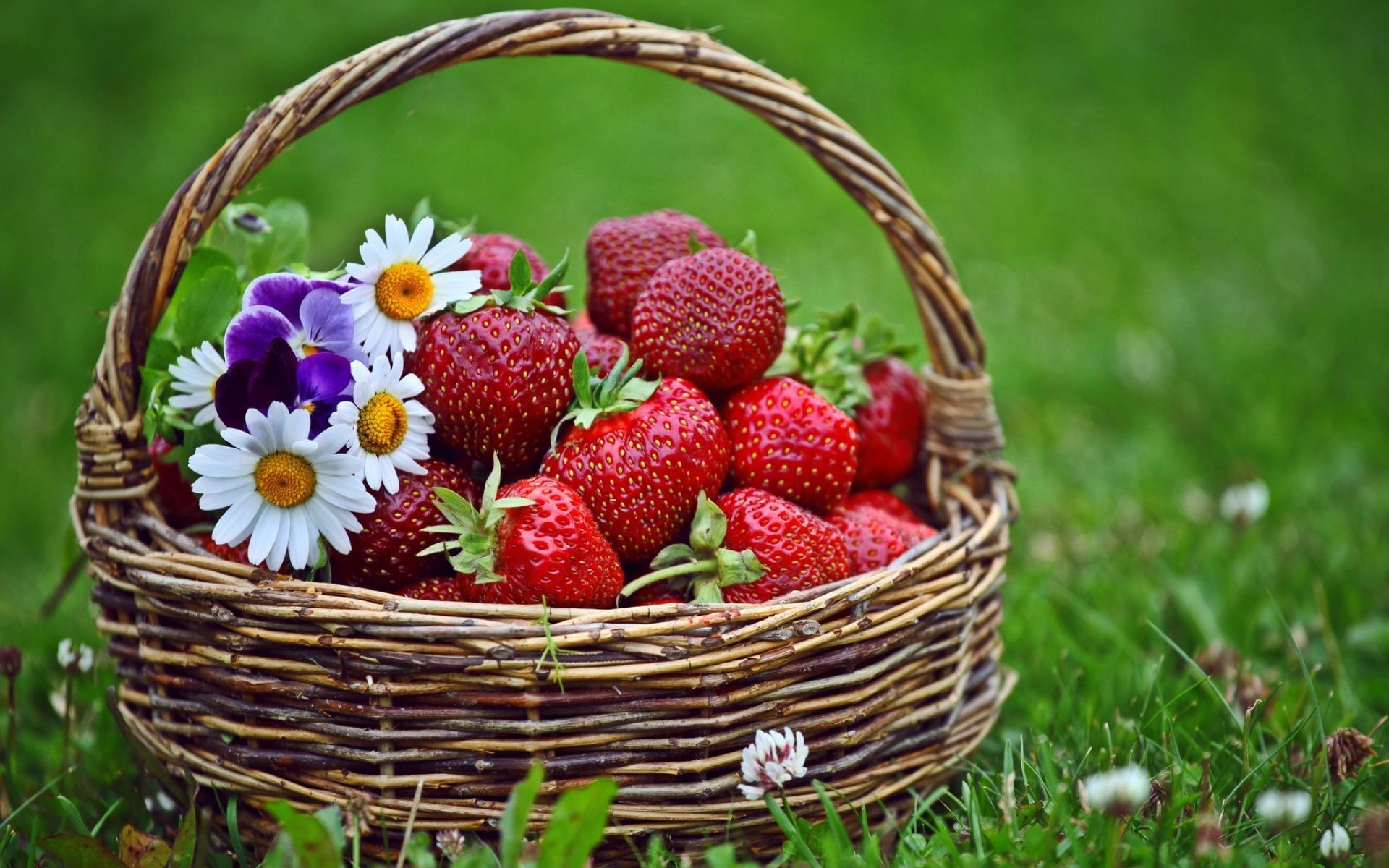 Strawberries and Flowers Wallpapers - Top Free Strawberries and Flowers ...