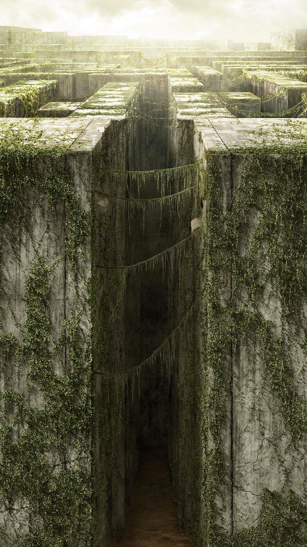 Maze Runner iPhone Wallpapers - Top Free Maze Runner iPhone Backgrounds - WallpaperAccess