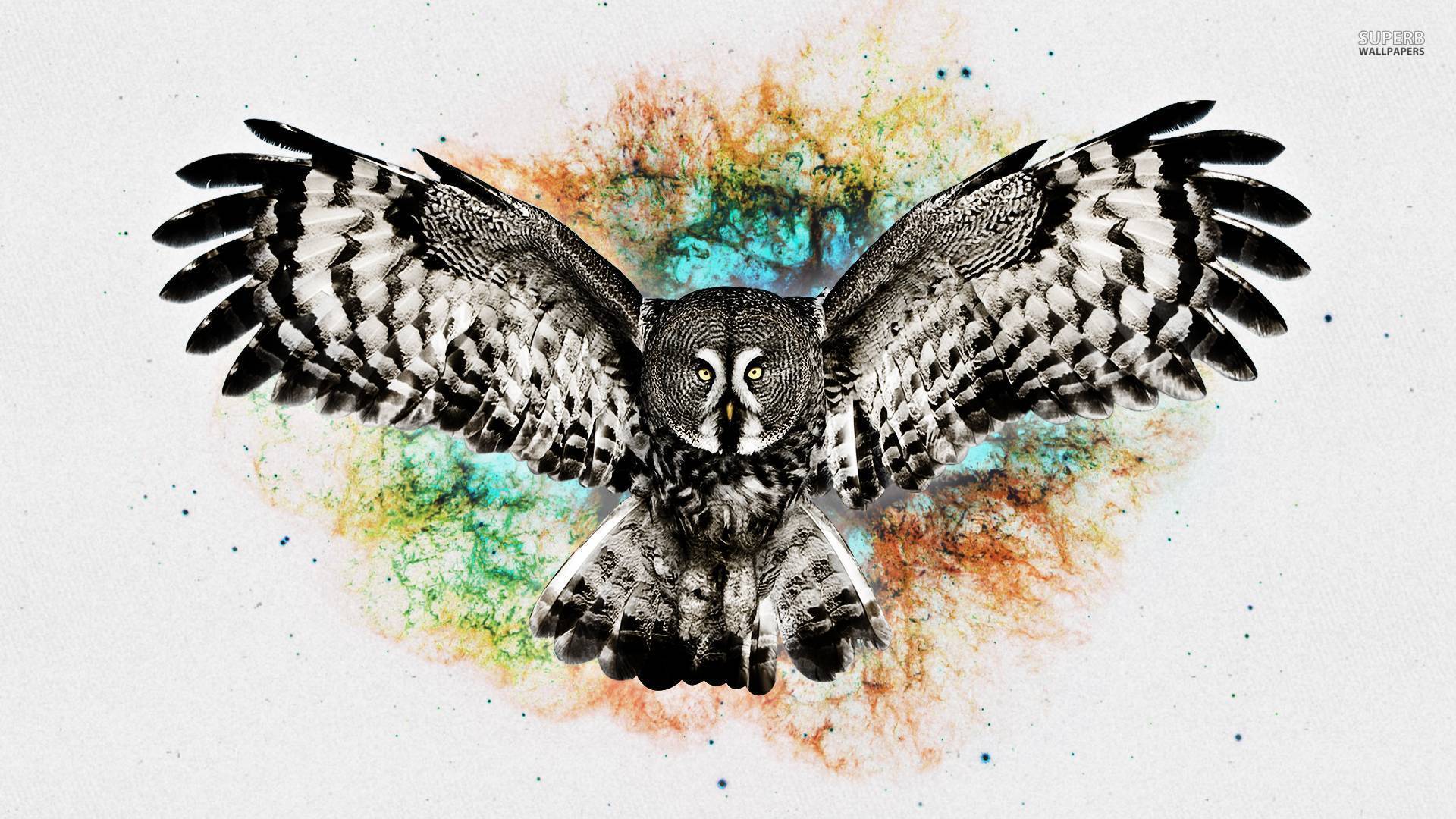 Flying Pokemon Wallpapers - Top Free Flying Pokemon Backgrounds ...