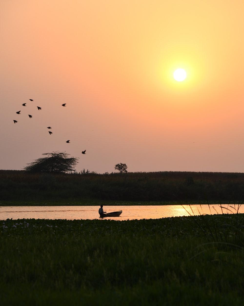 Sunset Bird Wallpapers - Top Free Sunset Bird Backgrounds - WallpaperAccess