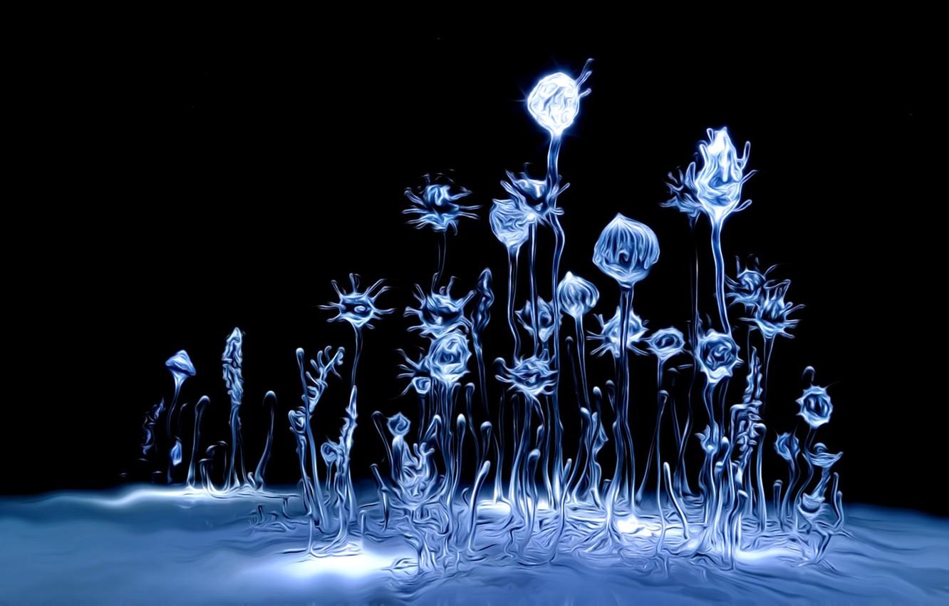 Ice Fantasy Wallpapers - Top Free Ice Fantasy Backgrounds - WallpaperAccess