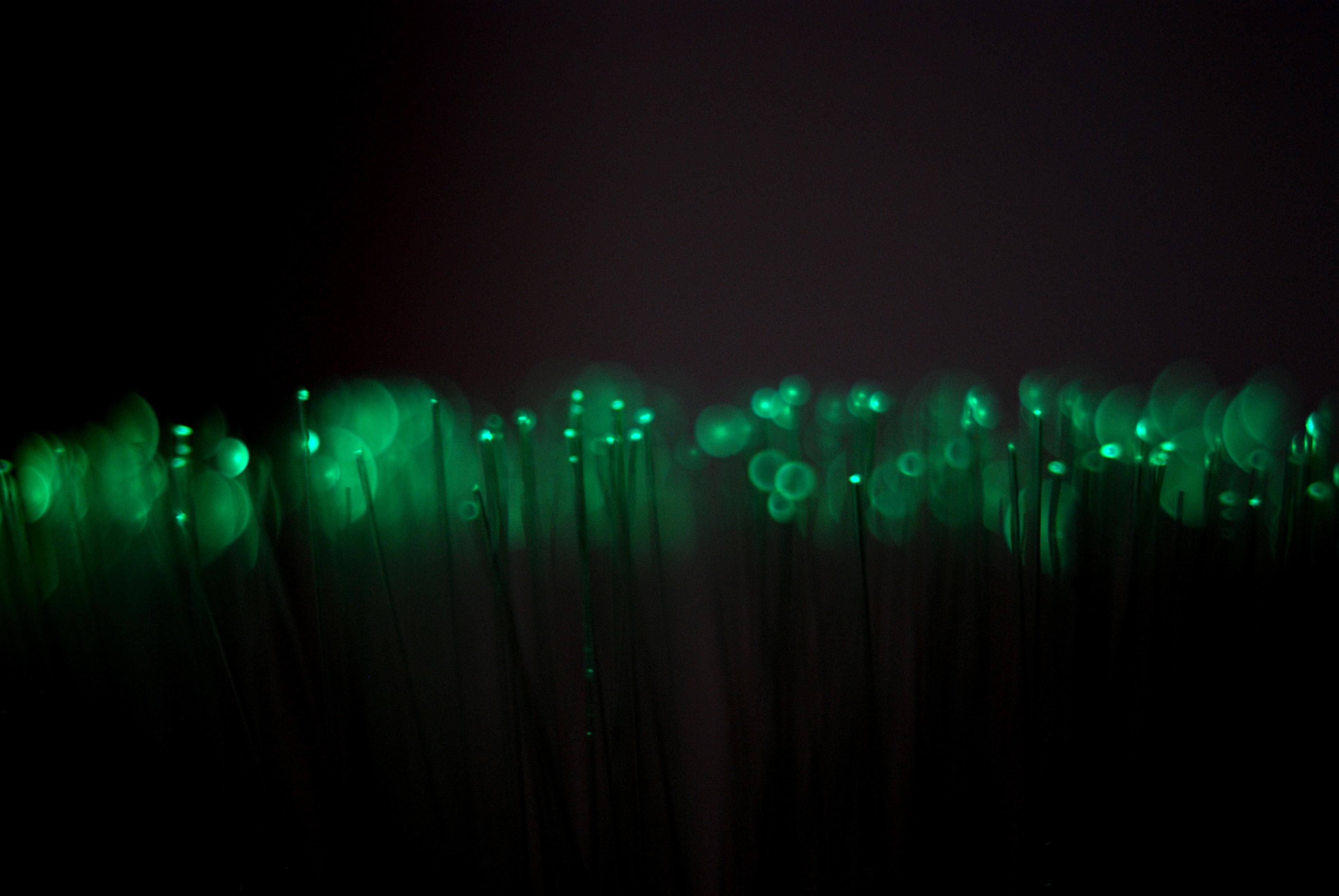 Digital Green Wallpapers - Top Free Digital Green Backgrounds ...