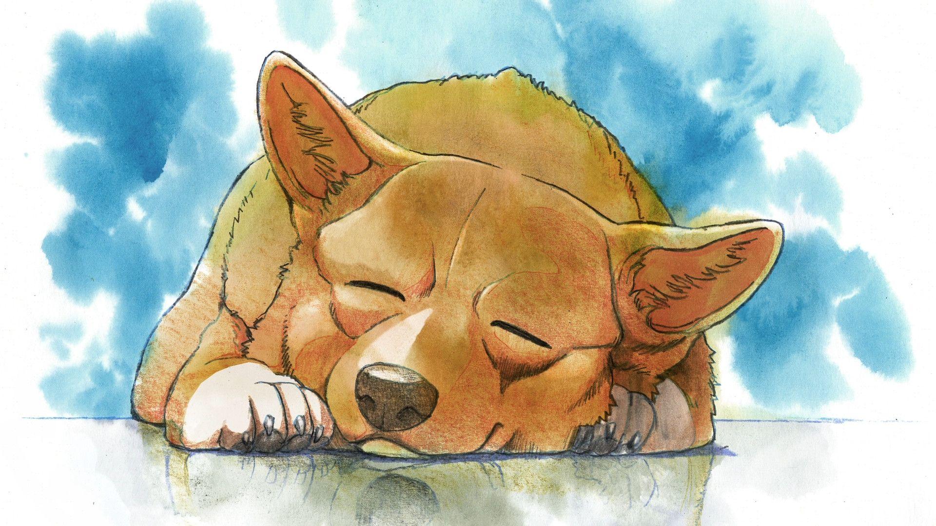 Cowboy Bebop Dog Wallpapers - Top Free Cowboy Bebop Dog Backgrounds ...