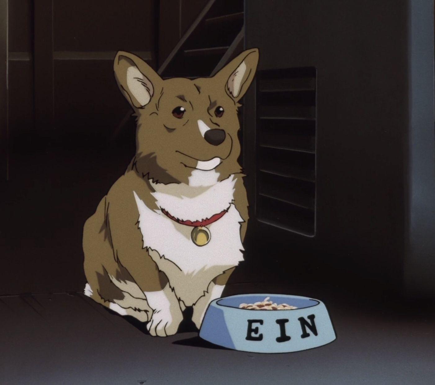 Cowboy Bebop Dog Wallpapers - Top Free Cowboy Bebop Dog Backgrounds ...