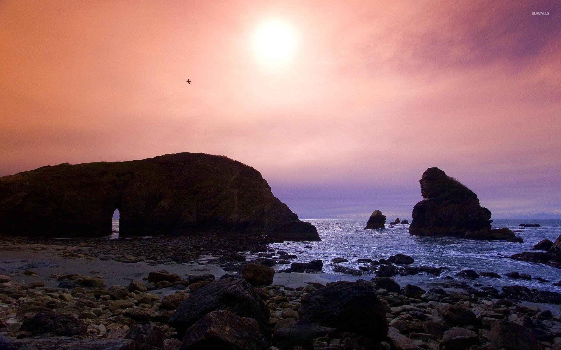 Bear Riding Shark Wallpapers - Top Free Bear Riding Shark Backgrounds ...