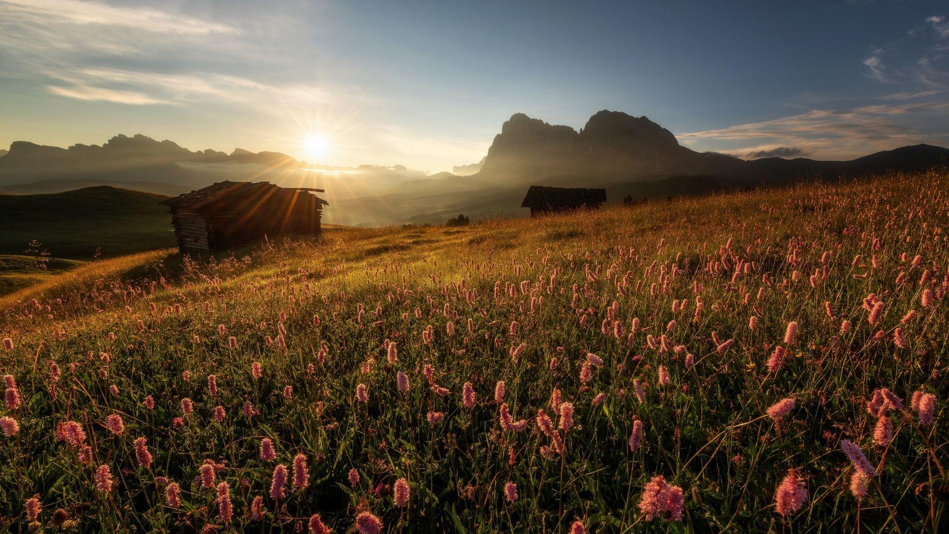 Meadow Desktop Wallpapers - Top Free Meadow Desktop Backgrounds ...