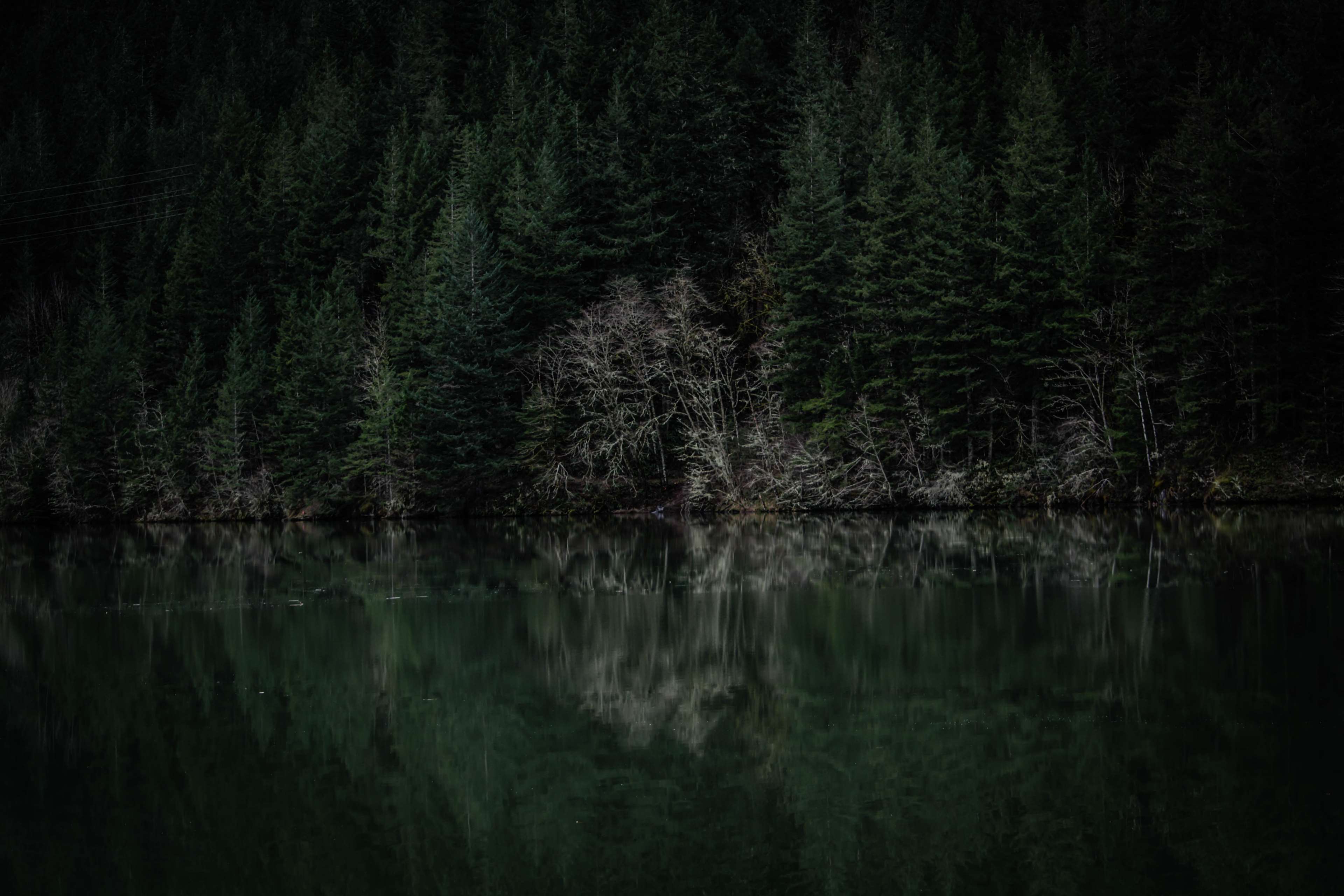 Dark Forest Lake Wallpapers - Top Free Dark Forest Lake Backgrounds ...