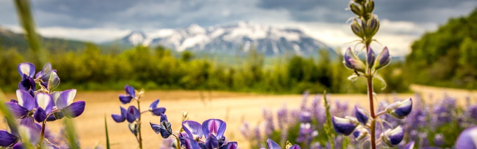 Spring Church Wallpapers - Top Free Spring Church Backgrounds ...