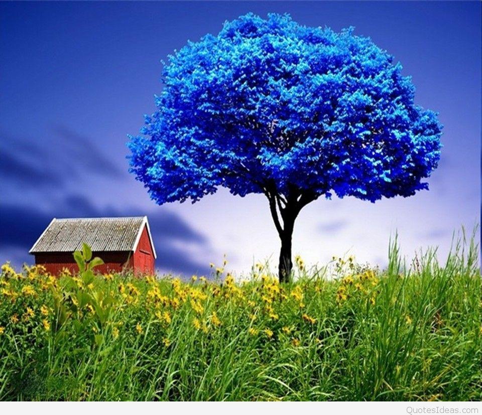 Keypad Wallpapers - Top Free Keypad Backgrounds - WallpaperAccess