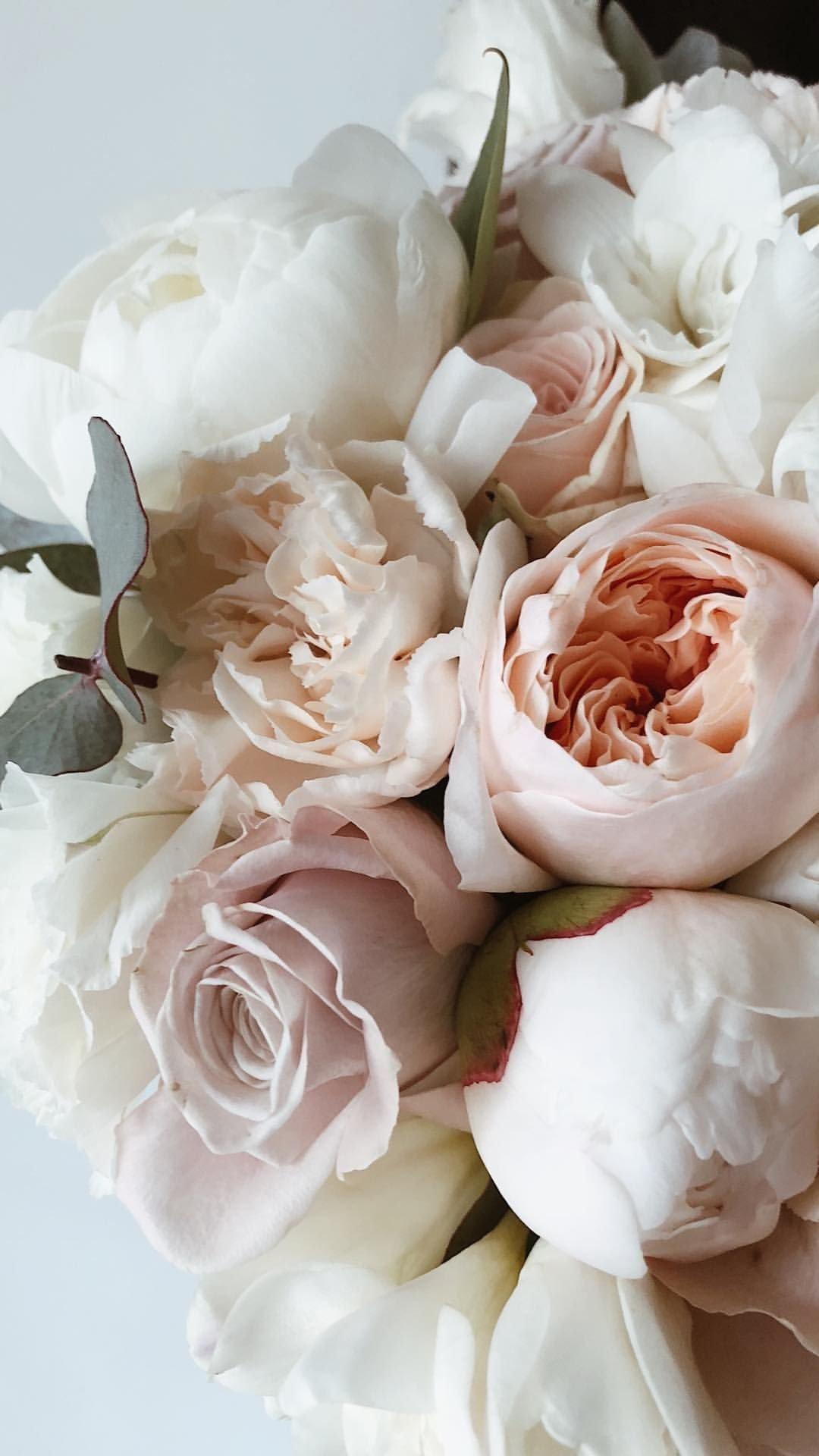 Peonies iPhone Wallpapers - Top Free Peonies iPhone Backgrounds ...