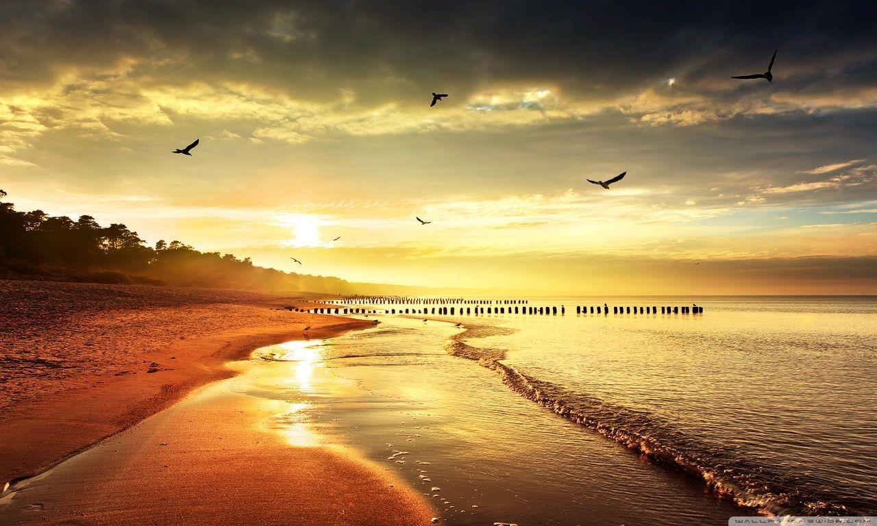 1280X768 HD Wallpapers - Top Free 1280X768 HD Backgrounds - WallpaperAccess