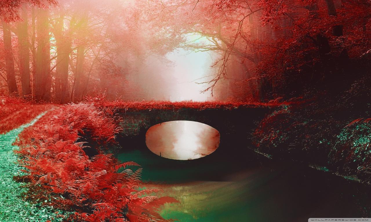 1280X768 HD Wallpapers - Top Free 1280X768 HD Backgrounds - WallpaperAccess