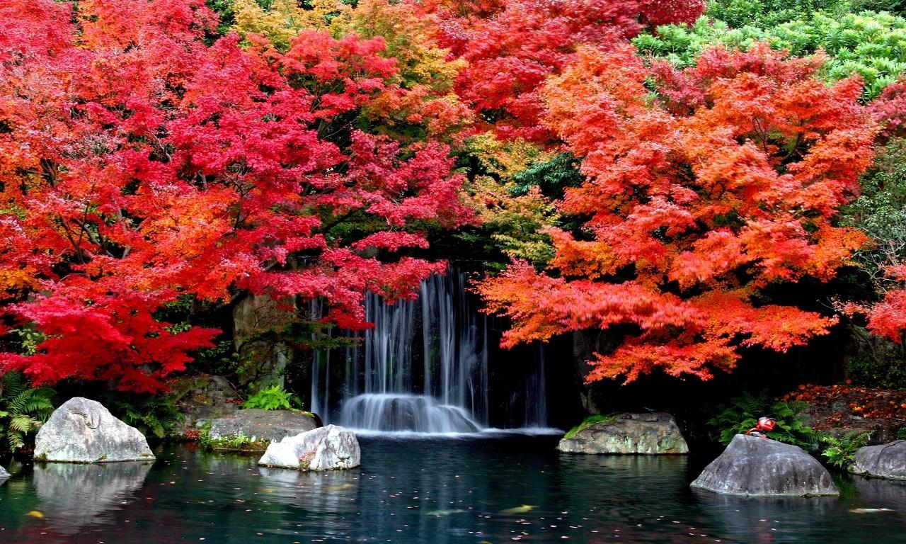 1280X768 HD Wallpapers - Top Free 1280X768 HD Backgrounds - WallpaperAccess