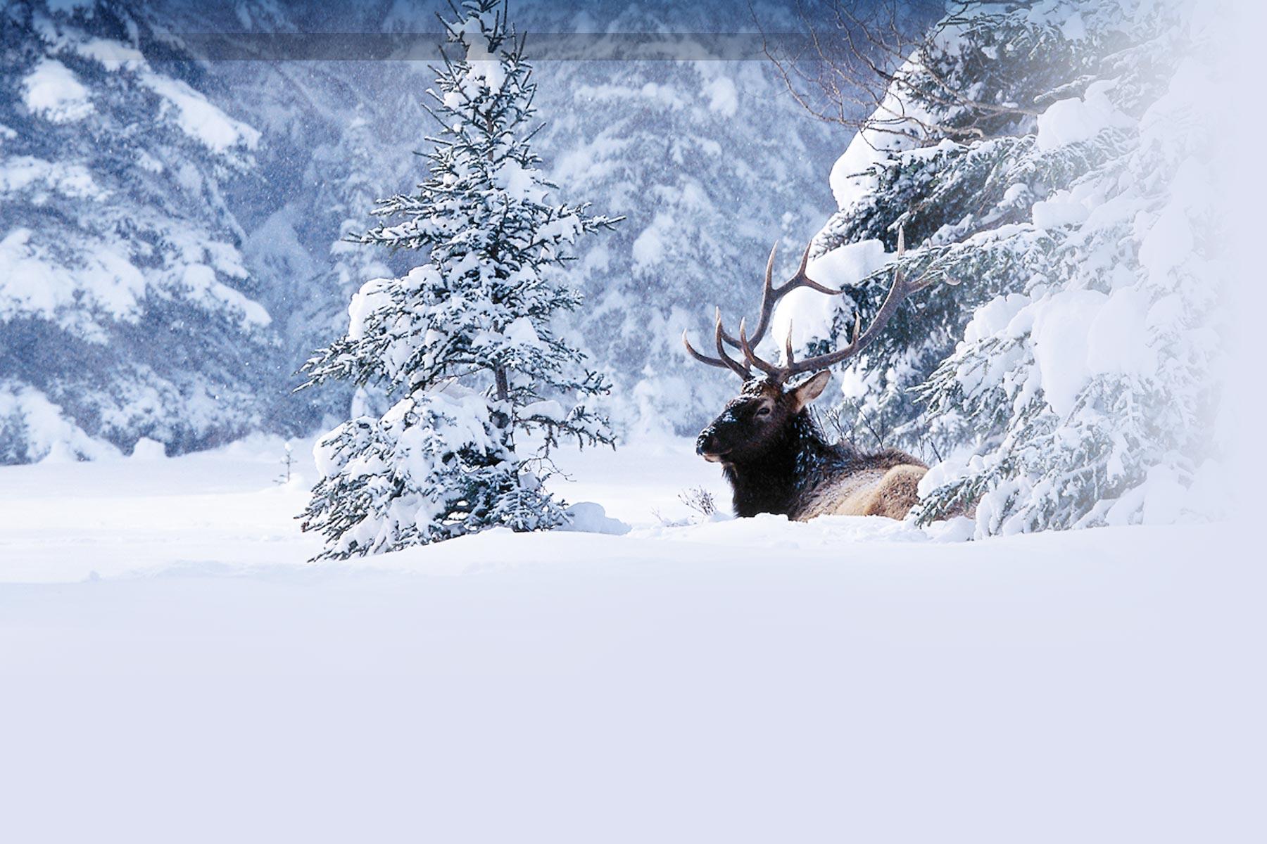 Alberta Prairie Wallpapers - Top Free Alberta Prairie Backgrounds ...