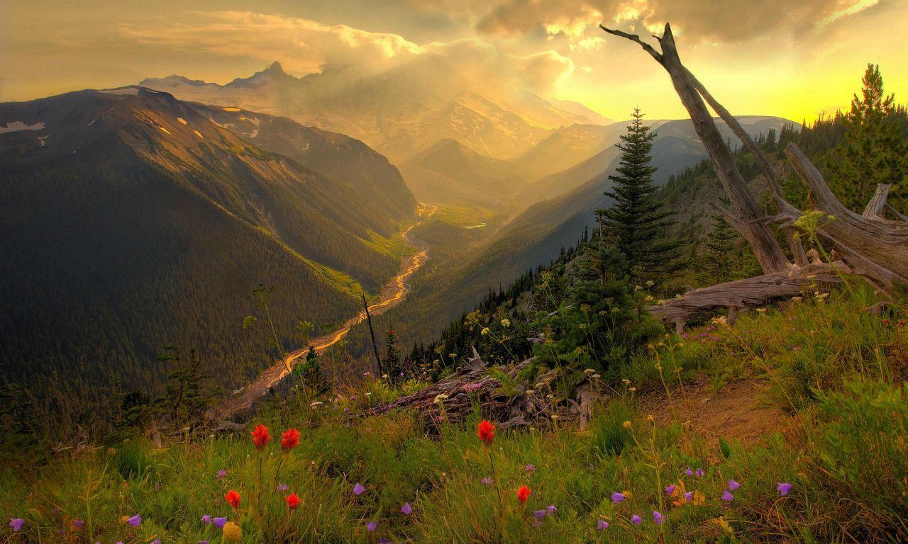 1280X768 HD Wallpapers - Top Free 1280X768 HD Backgrounds - WallpaperAccess