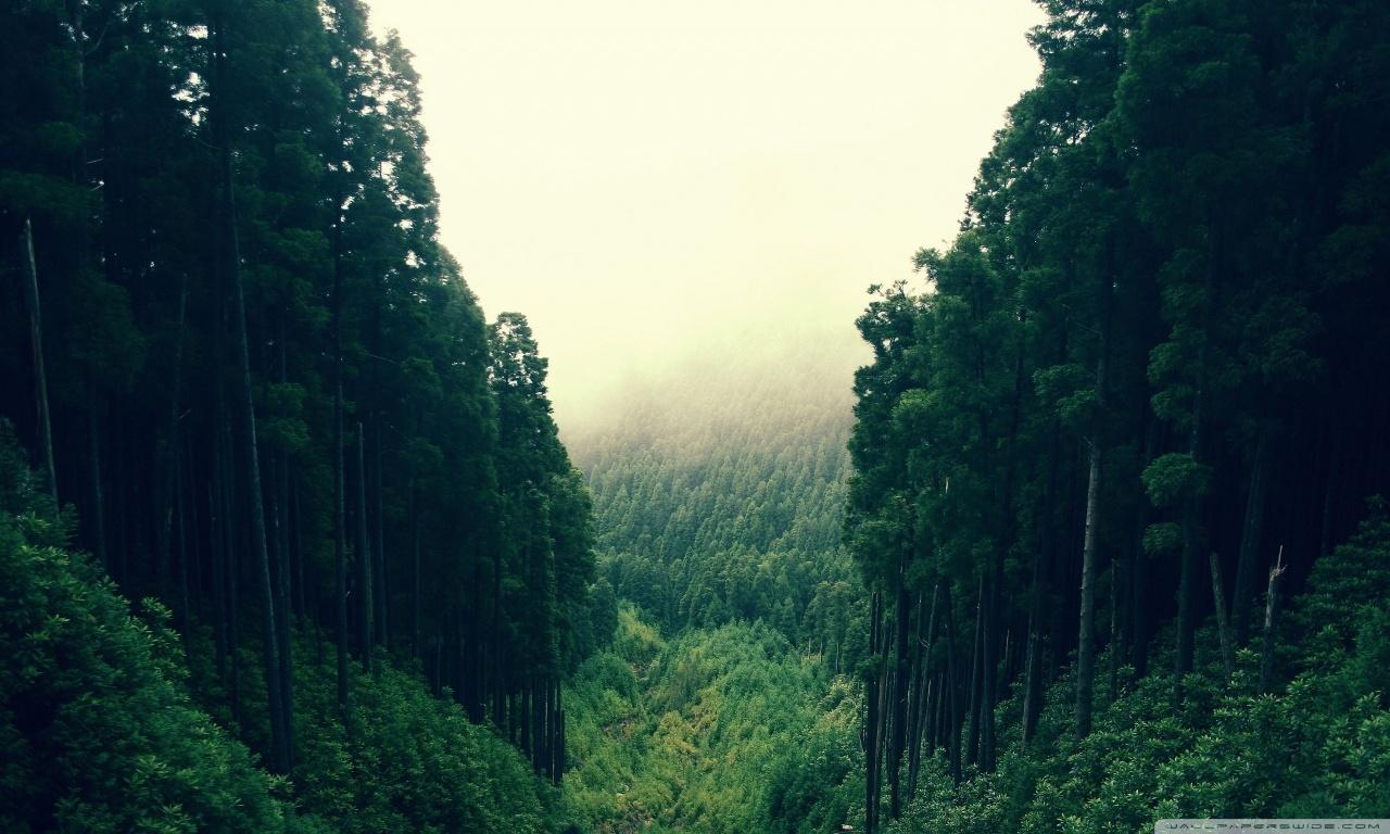 1280X768 HD Wallpapers - Top Free 1280X768 HD Backgrounds - WallpaperAccess