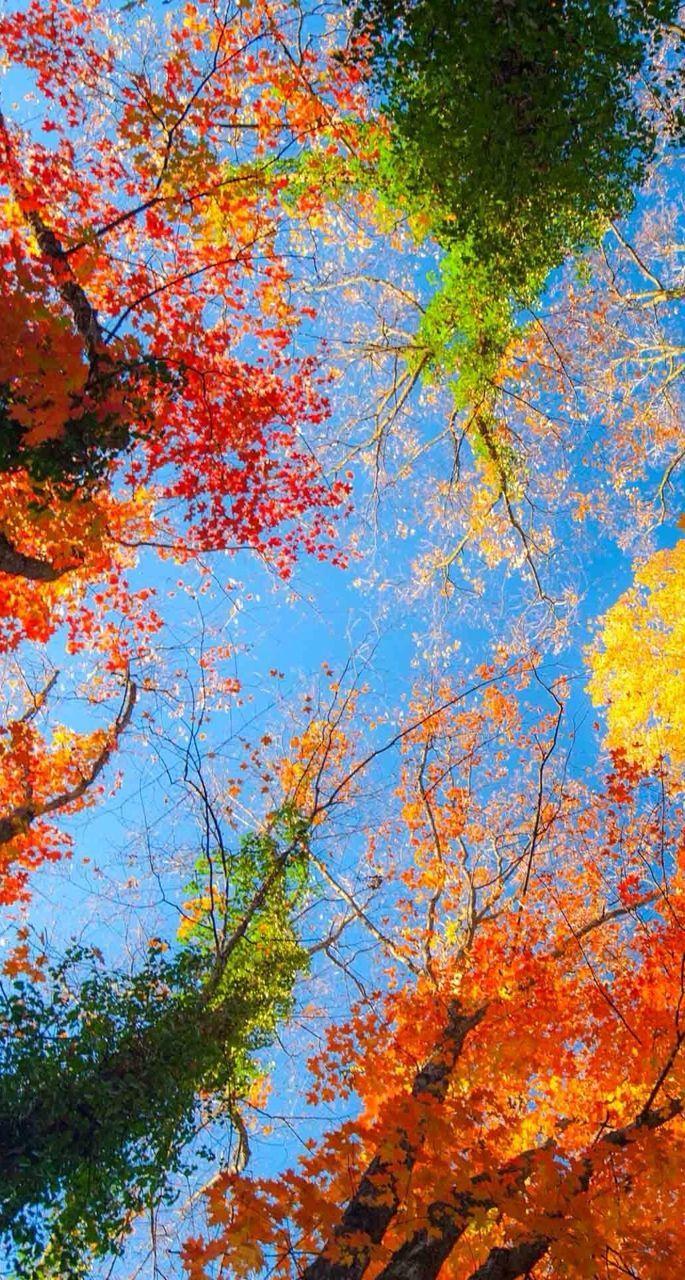 High Definition iPhone Wallpapers - Top Free High Definition iPhone ...