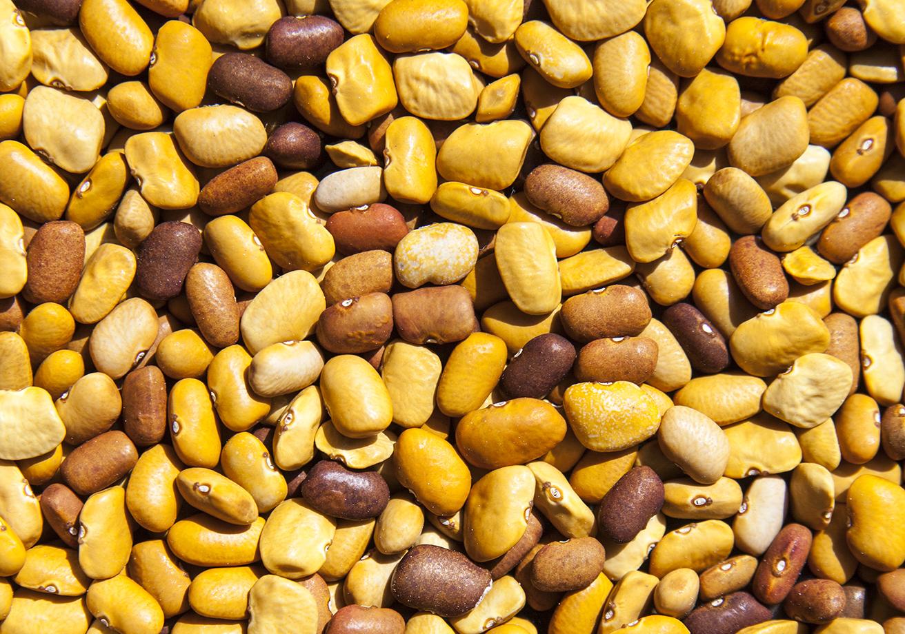 Native American Food Wallpapers - Top Free Native American Food ...