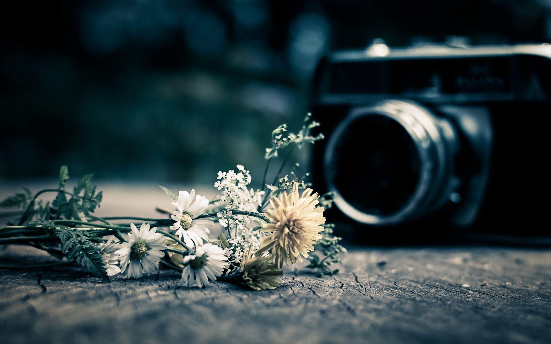 Camera Floral Wallpapers - Top Free Camera Floral Backgrounds ...