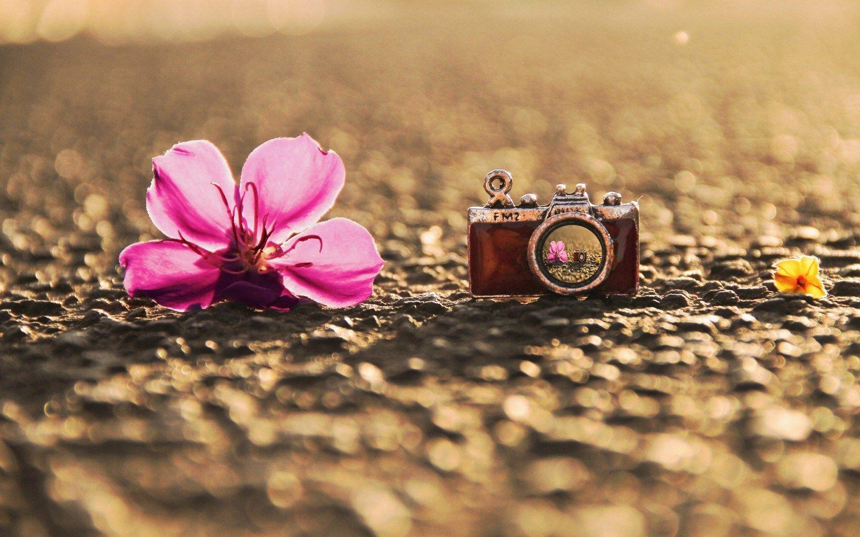 Camera Floral Wallpapers - Top Free Camera Floral Backgrounds ...
