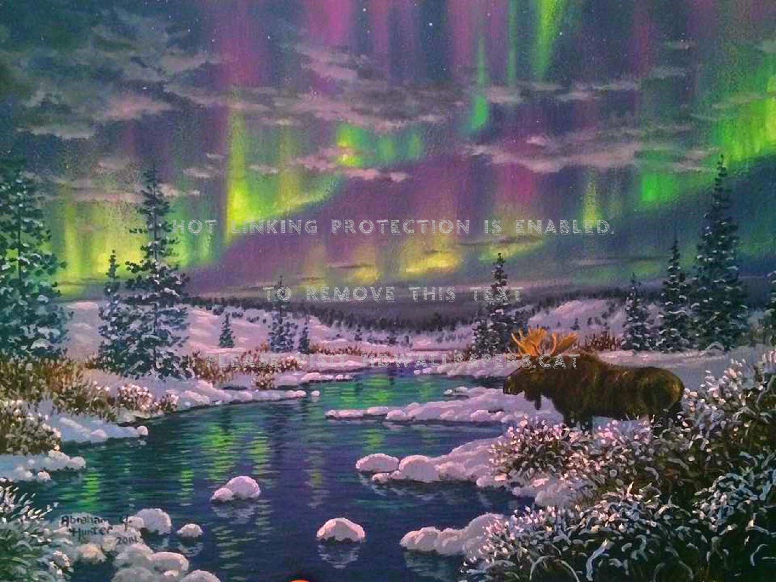 Winter Moose Wallpapers - Top Free Winter Moose Backgrounds ...