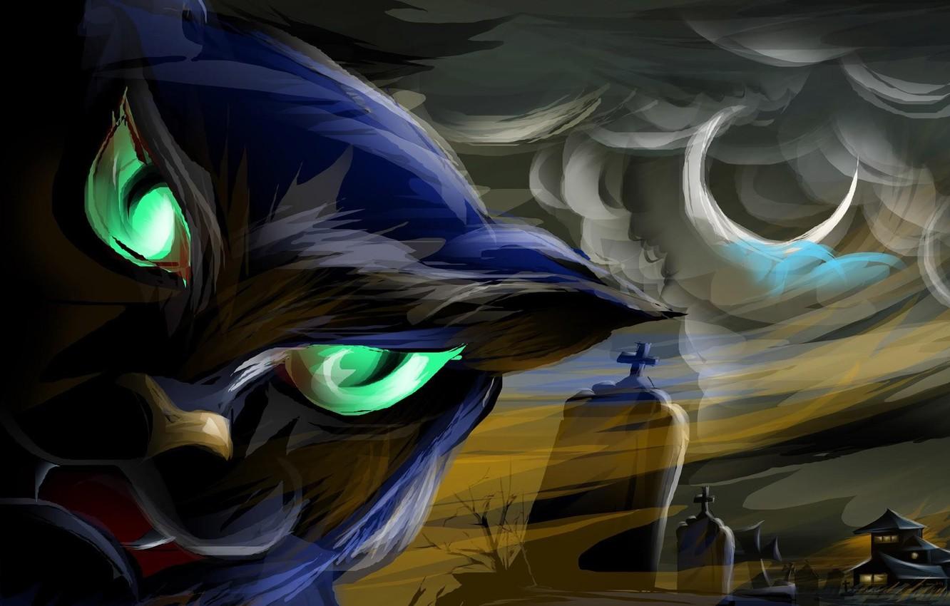 Evil Black Cat Wallpapers - Top Free Evil Black Cat Backgrounds ...